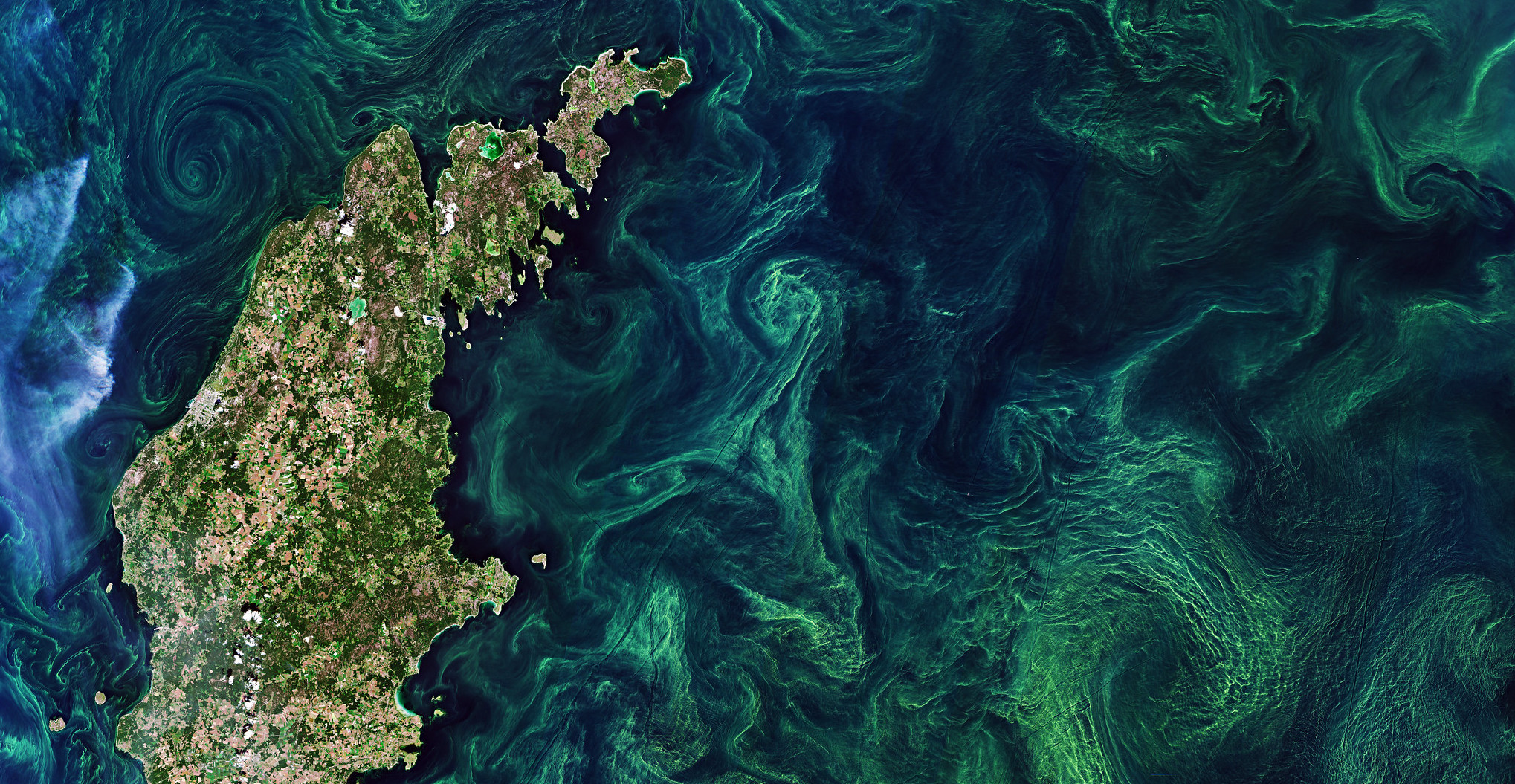 Announcing the New Jean Monnet Module in European and International ...